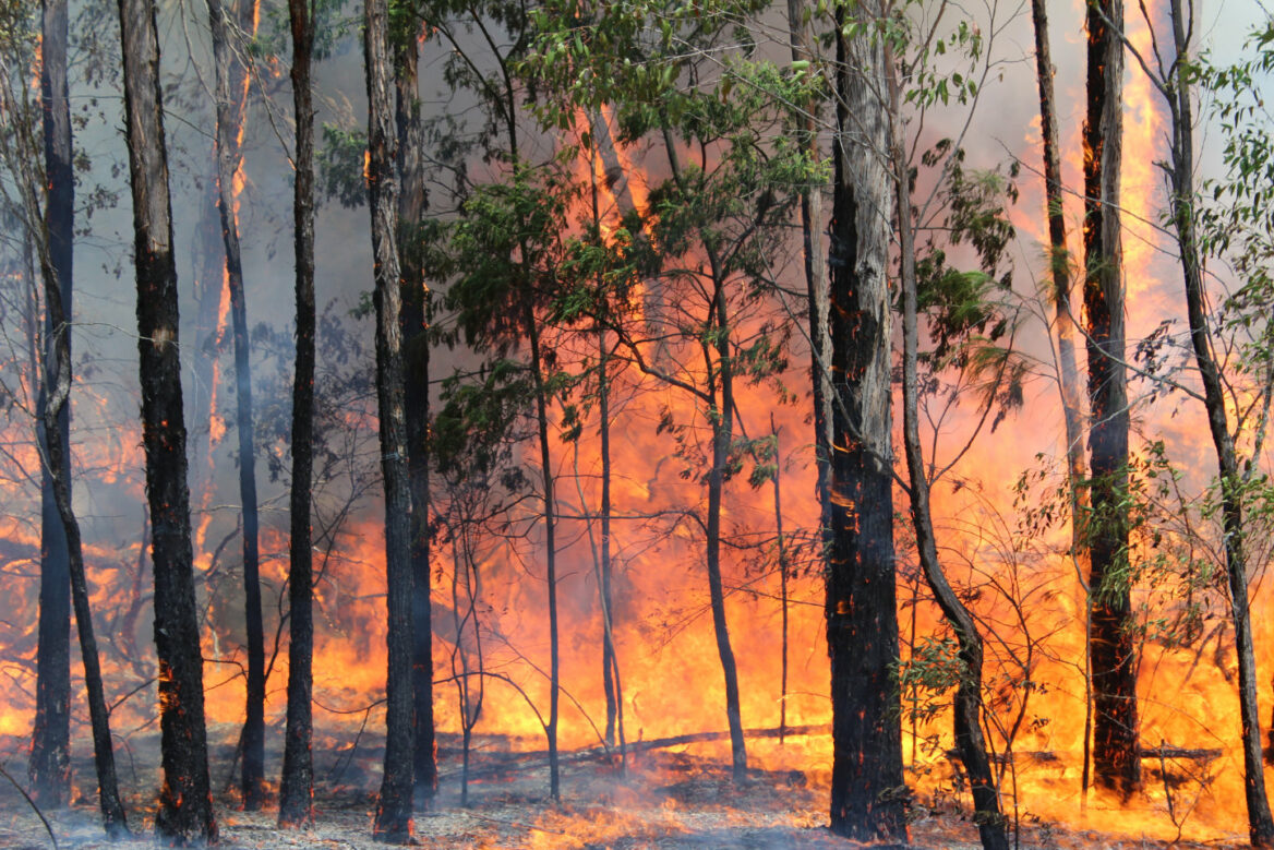 Bushfire danger set to increase - climatefutures.org.au